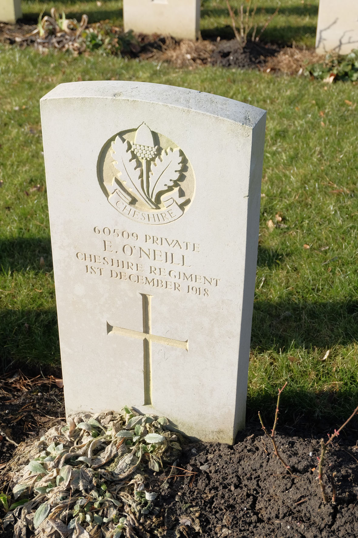 1st December 2020 | remember them all: Cheshire Regiment casualties